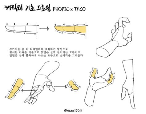 타코작가 taco on X Tutorial de anatomía Referencia de anatomía Tutoriales de dibujo