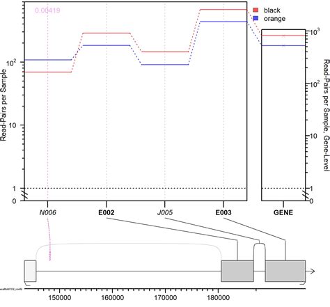 What A Novel Splice Junction Means ResearchGate