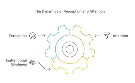 Cognitive Science Essential Concepts For Reading Comprehension Wordpandit