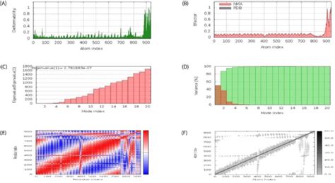 Molecular Dynamics Simulation Of The Vaccine Here Different Md Download Scientific Diagram