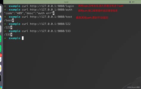 docker部署 apisix 并使用golang插件 自定义鉴权方式 apisix go runner csdn博客
