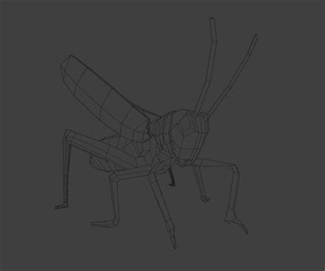 Artstation Grasshopper Animated 3d Model Resources