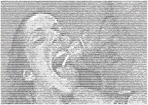 Ero Ilustra Códigos ASCII