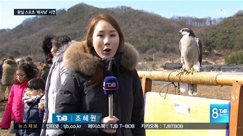 언론보도 영상 한국전통매사냥 전수체험학교