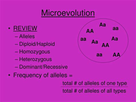 PPT MICROEVOLUTION PowerPoint Presentation Free Download ID 6031981