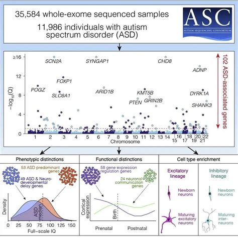 一份来自星星的研究报告：自闭症最新研究进展盘点 世界自闭症关注日 基因组 外显子 新浪新闻