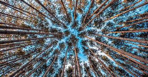 Designing Your Saas Database For Scale With Postgres Citus Data