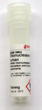 Ribonuclease Sigma Aldrich