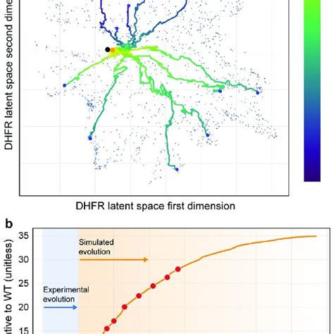Evolutionary Simulations To Understand The Landscape Structure A We