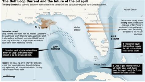 Infographic The Gulf Loop Current And The Future Of The Oil Spill