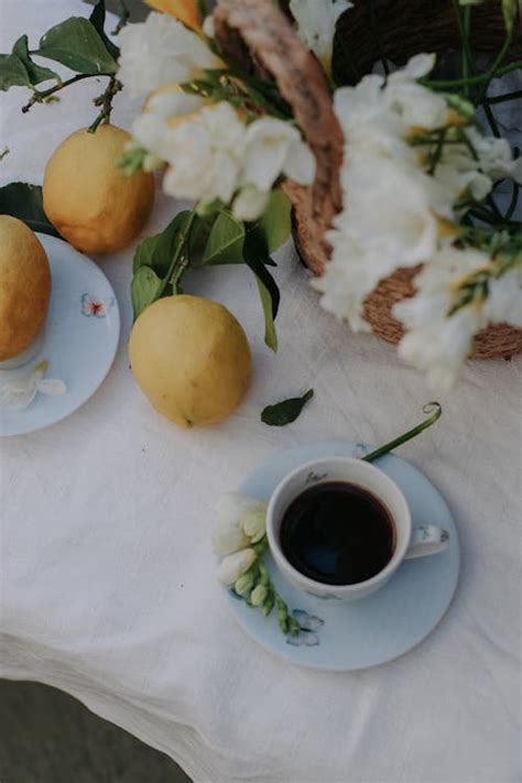 꽃 정물 차 책 카모마일 컵에 관한 무료 스톡 사진