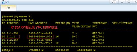 Arp协议的原理与应用【ensp实现】ensp Display Arp Csdn博客