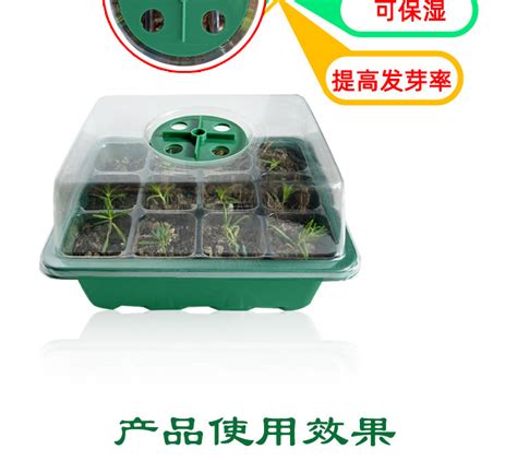 育苗盒多肉扦插花卉植物播种叶插加厚育苗盘箱盒三件套穴盘保温盖 阿里巴巴