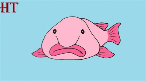 How To Draw A Blobfish Step By Step Easy Drawing Blobfish Entertainment For All