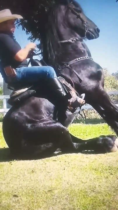 Edit Fri Trenado Youtube