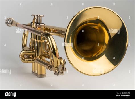 Gold Colored Trumpet As An Isolated Musical Instrument Against A White Background In A Studio
