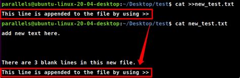 【linux】实验报告2 Linux基础命令linux常用命令实训报告 Csdn博客