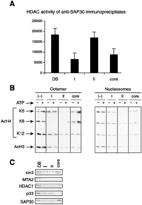 Hdac And Nucleosome Deacetylase Activity Of The Different Sin3 Download Scientific Diagram