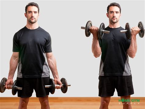 8 Best Short Head Bicep Exercises For Wider Arms