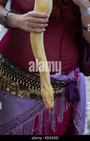 Belly Dancer Handling An Albino Burmese Python Snake Stock Photo Alamy