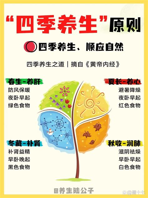四季养生法｜顺时养生🌓健康一整年