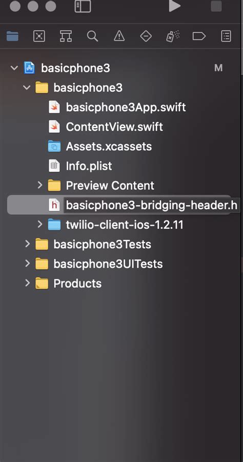 Beginner Building Twilio App Rswift