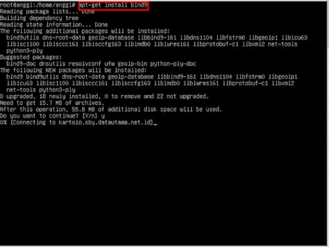 Cara Install Dan Konfigurasi DNS Server Pada DEBIAN 9