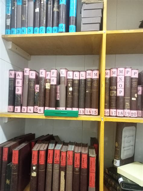 GitHub Hagar Abdelaliem Graduation Project