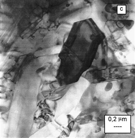 Microstructural Evolution As A Function Of Sintering Temperature For Si Download Scientific