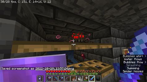 Since When Do Mob Spawners Generate Mobs With Potion Effects Ive