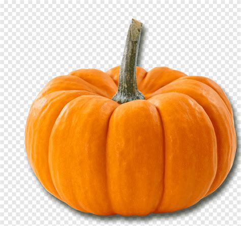 호박 맥주 음식 버터 넛 스쿼시 성분 도토리 스쿼시 식품 주황색 Png Pngegg