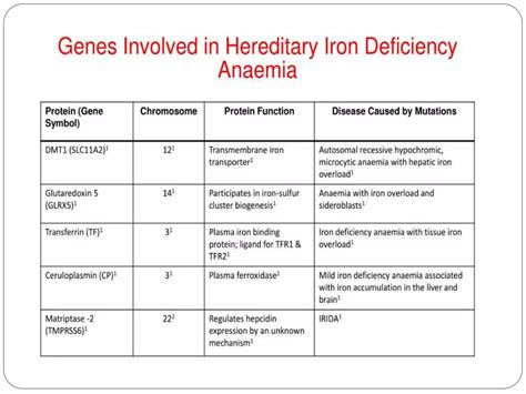 Microcytic Hypochromic Anemia Ppt
