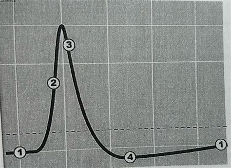 Exam 1 Multiple Choice Questions Flashcards Quizlet