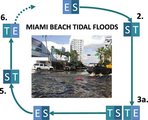Summary Of Social Ecological And Technological System Dynamics