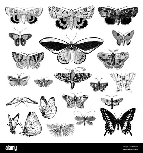 Black And White Art Image Cut Out Stock Images And Pictures Alamy