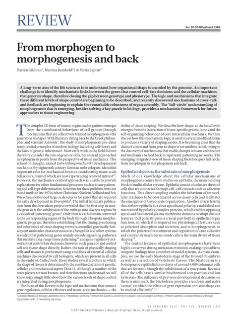 From Morphogen To Morphogenesis And Back Pdf Morphogenesis Cell