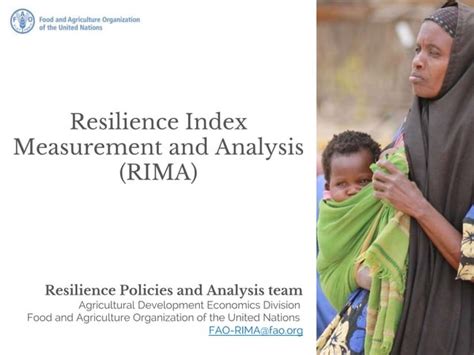 Resilience Index Measurement And Analysis Rima Pptx