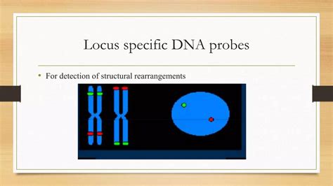 Molecular Cytogenetics In Hematiological Malignancy Pptx