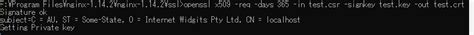 windows下用nginx配置服务器及反向代理springboot项目 window nginx ssl pem