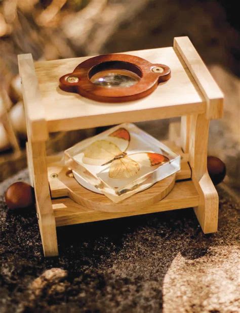 Pip Picks Pip Magazine