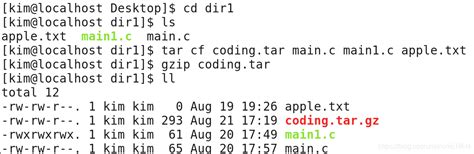 Linux Vim的使用 And 文件压缩与解压linux解压vm到桌面 Csdn博客