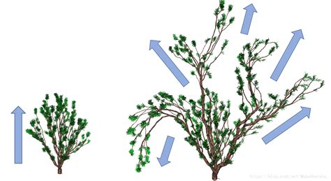 Graphics 自组织植物建模方法（continousandlassoandbrush）space Colonization Csdn博客