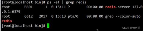Redis（安装及配置）redis下载安装配置 Csdn博客