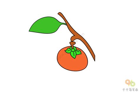 儿童学画画 柿子简笔画大全 水果简笔画