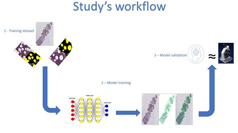 Development Of An Artificial Intelligence Based Tool For Automated