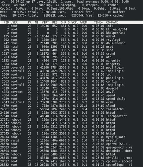 Linux Top Command Monitor The Performance Processes Ram And Cpu Of Server
