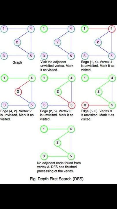 Dfs Graph Coding Dsa Datastructures Logic Trending Algorithm Programming Shorts