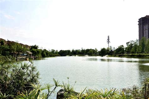 什么是地方性氟中毒