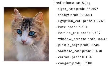 Object Prediction Using Python