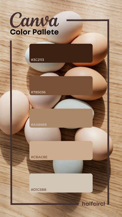 Canva Color Palette Codes Brown
